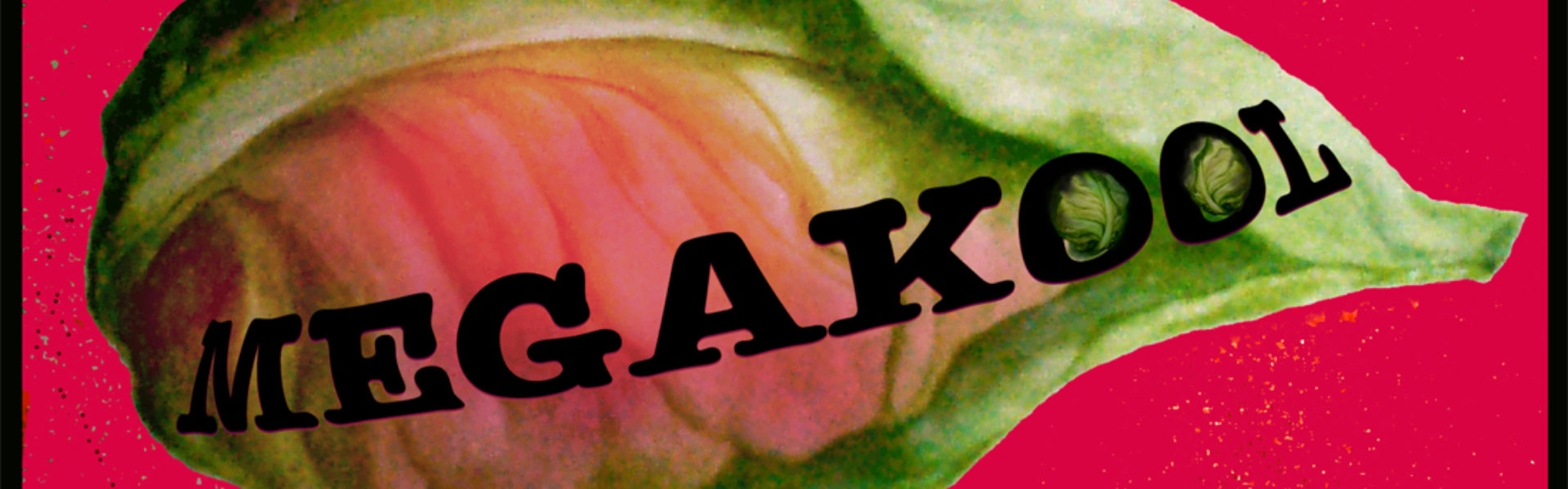 Ronald & Anouk Kool are... MEGAKOOL